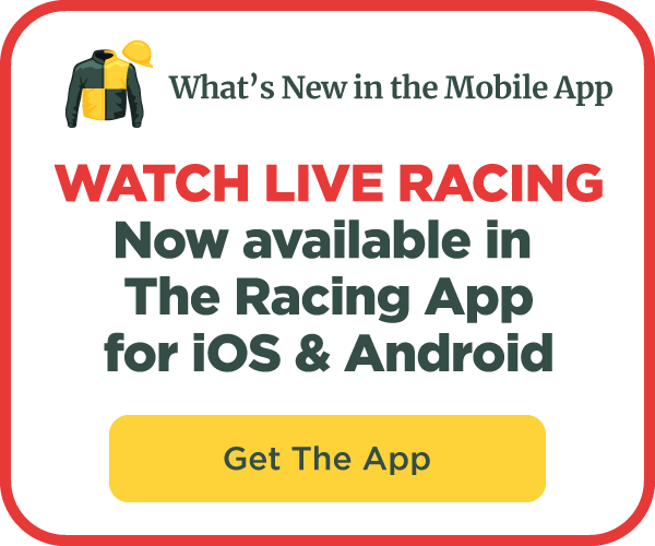 Best bets for today’s horse racing - The Racing App